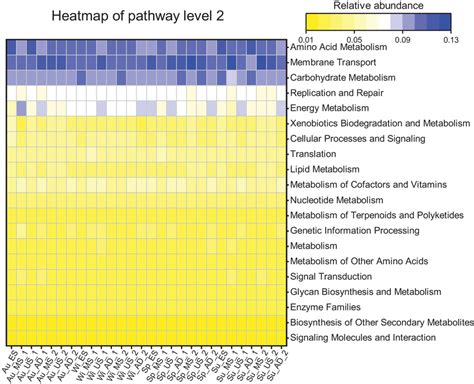Function Prediction Of Kegg Pathway Level 2 Of The Microbial Community Download Scientific