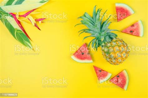 웹 배너와 파스텔 색상 배경에 신선한 수박 소나무 사과와 헬리코니아 열대 꽃 여름 과일의 그룹에 대한 최소한의 평면 누워 창조적 인 디자인 0명에 대한 스톡 사진 및 기타