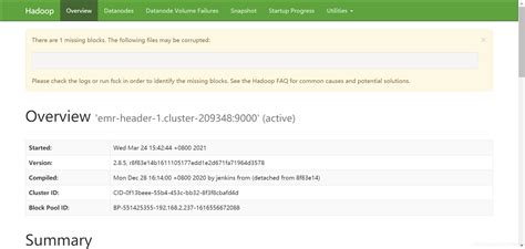【hadoop】hdfs块修复hdfs Debug Recoverlease Csdn博客