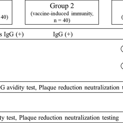Flowchart Of Population In This Study Mmr Measles Mumps Rubella