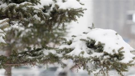 Өнөөдөр баруун аймгуудын нутгаар цас орно