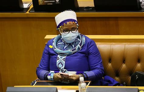 South Africas New Speaker Of Parliament Has Sparked Controversy For