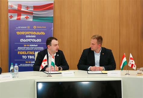 ქართული 🇬🇪🇭🇺 ქართული ოცნების ახალგაზრდულ ორგანიზაციასა და უნგრეთის მმართველი პარტიის