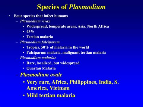 Ppt Phylum Apicomplexa Powerpoint Presentation Free Download Id 1193653