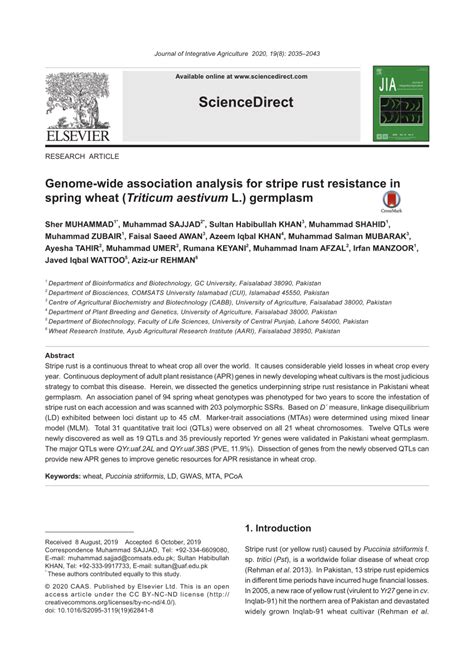 Pdf Genome Wide Association Analysis For Stripe Rust Resistance In Spring Wheat Triticum