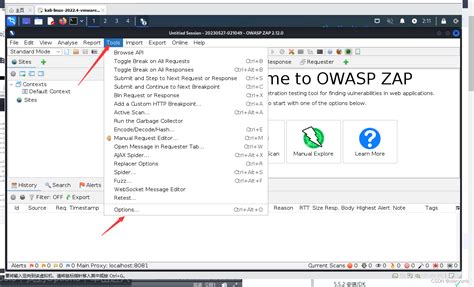 使用zap寻找敏感文件和目录zap怎么指定浏览器路径 Csdn博客