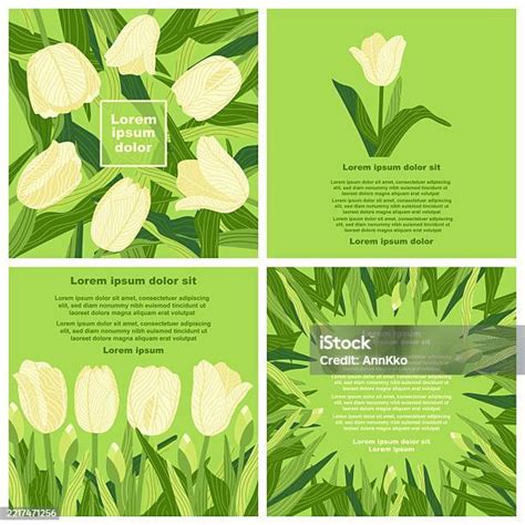 녹색 잎과 Lorem Ipsum 텍스트 패턴이 있는 다양한 다채로운 튤립의 직사각형 삽화를 특징으로 하는 식물 그래픽 템플릿입니다 0명에 대한 스톡 벡터 아트 및 기타