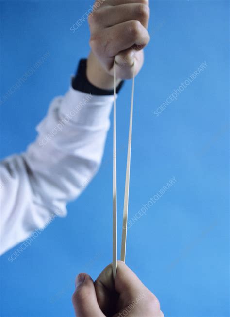 Elasticity Experiment Stock Image H Science Photo Library