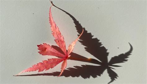 Andreea Vasiliu On Linkedin Epmcloud Oracleepmcloud