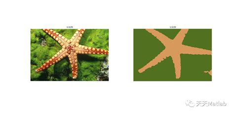 【图像分割】基于超像素的快速模糊聚类算法sffcm 实现彩色图像分割附matlab代码 阿里云开发者社区