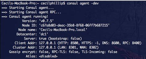 Using Consul For Service Discovery With Aspnet Core