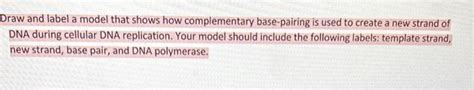 solved draw and label a model that shows how complementary