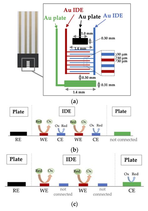 Molecules Free Full Text Development Of An Interdigitated Electrode