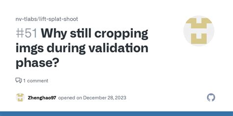 Why Still Cropping Imgs During Validation Phase · Issue 51 · Nv Tlabs