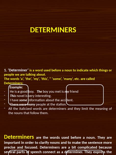 Determiners Pdf Grammatical Number Noun