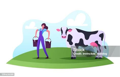 밀크맨 직업 개념 여성 캐릭터 작업 에 농장 우유 를 입은 여자 에 유니폼 운반 양동이 후 착유 암소 농장에 대한 스톡 벡터 아트 및 기타 이미지 Istock