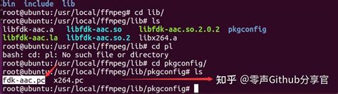 最新版本ffmpeg6 0源码安装 vscode开发环境搭建！ 知乎
