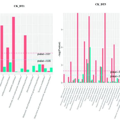 Kegg Enrichment Analysis P Value Histogram Gene Represents Download Scientific Diagram