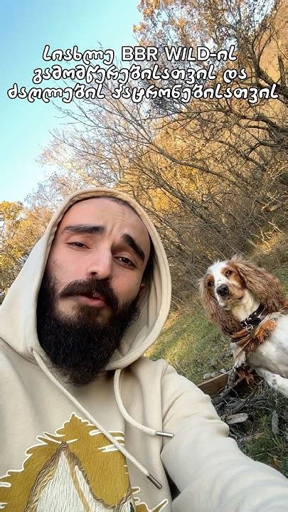 ძაღლების პატრონებს საჩუქარი Youtube