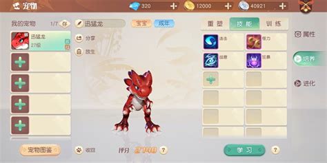 宠物技能界面梦想新大陆