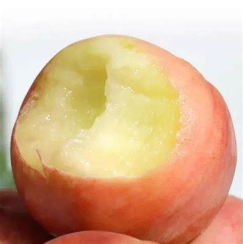 又脆又甜的山西脆蜜鲜桃29 9元5斤诱惑桃不掉 桃子 圆通 果酸