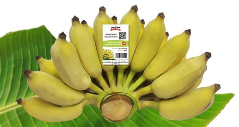 กล้วยน้ำว้าคัดพิเศษ 1 หวี มีกล้วยประมาณ 20 ลูก M I W Food
