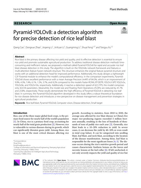 Pdf Pyramid Yolov8 A Detection Algorithm For Precise Detection Of Rice Leaf Blast