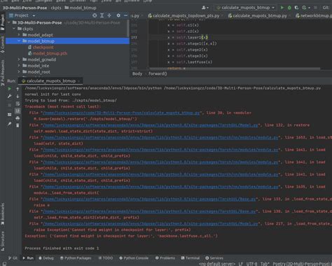 Checkpoint Is Not Compatible With The Network Architecture Issue Dpose D Multi Person