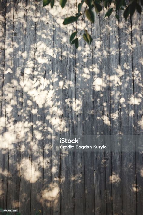 나뭇잎과 가지의 그림자와 함께 나무 오래 된 울타리 밝은 빛에 소박한 판자 울타리 시골 생활입니다 텍스트를 위한 공간 0명에 대한 스톡 사진 및 기타 이미지 Istock