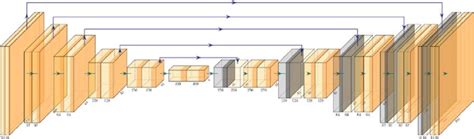 The Network Structure Of Generic Nnu Net Download Scientific Diagram