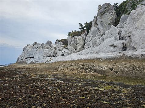 온통 하얗게 빛나는 산 이 바다에 있습니다