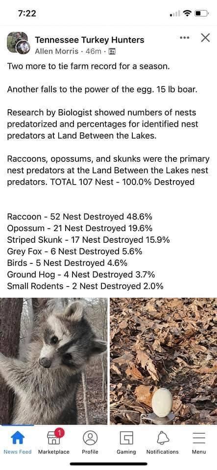 Predation Affects Page 4 The Outdoor Community