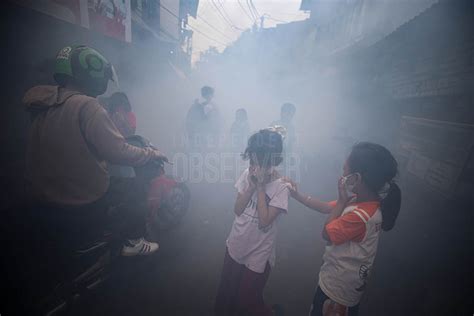 Dengue Fever Emergency In Jakarta Observer The Latest Information