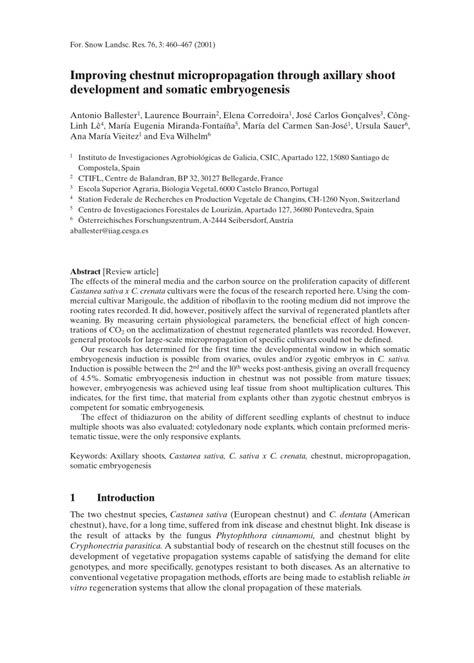 Pdf Improving Chestnut Micropropagation Through Axillary Shoot Development And Somatic