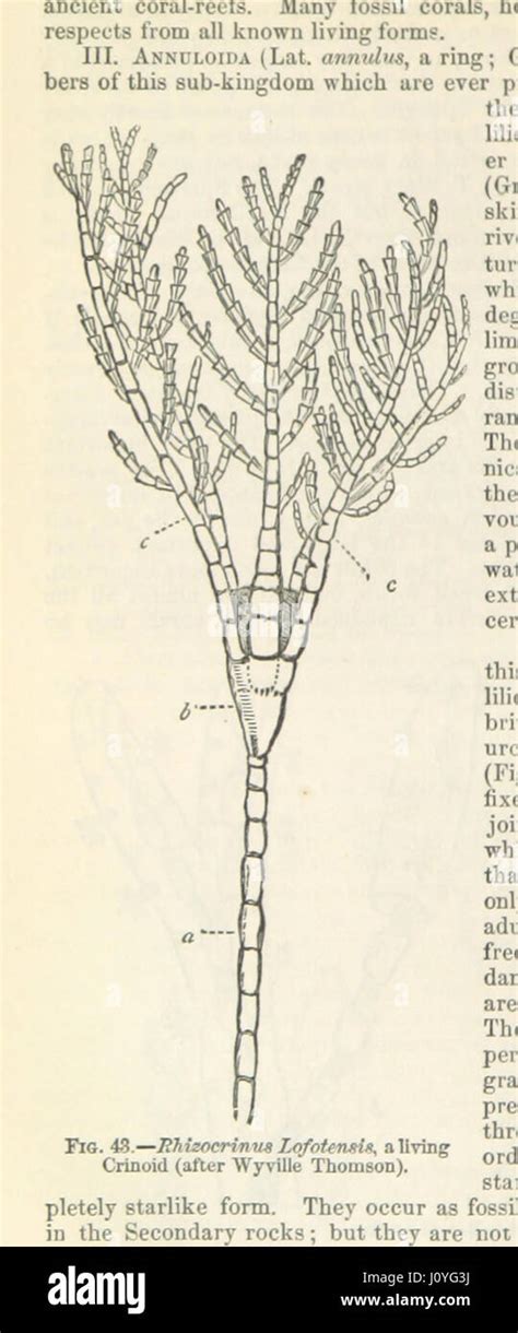 This Geology Textbook Is Designed For Educational Purposes Covering Fundamental Concepts Of