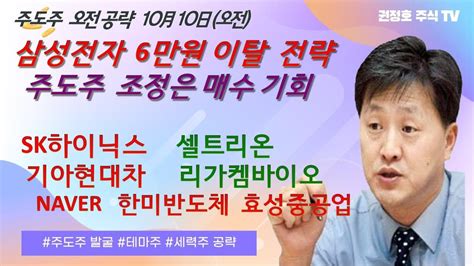 제약바이오 반도체 자동차 2차전지 전략 Youtube