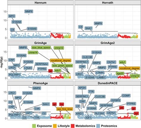 Multi‐omic Associations Of Epigenetic Age Acceleration Are