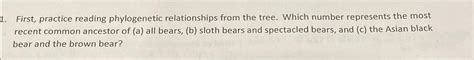 Solved First Practice Reading Phylogenetic Relationships