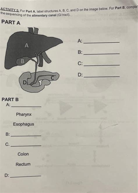 Solved Activity 5 For Part A Label Structures A B C And