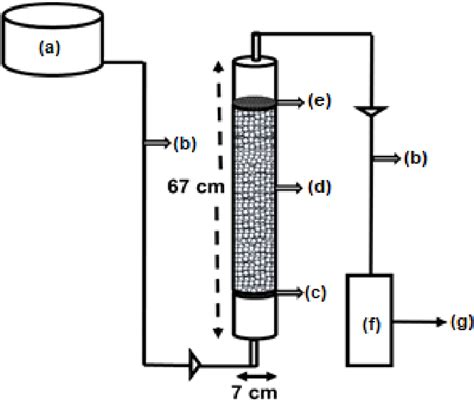 The Experimental Design Of Continuous Laboratory Scale Of The Fixed Bed Download Scientific