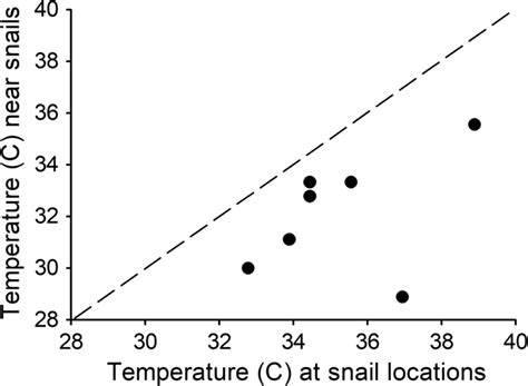 Rabbit Snail Temperature Tolerance At Lee Porter Blog