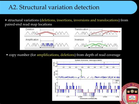 Ppt Data Analysis Methods For Next Generation Sequencing Technologies