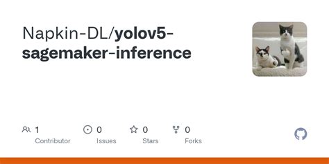 github napkin dl yolov5 sagemaker inference