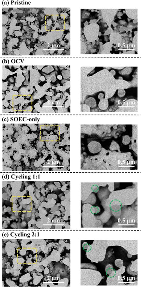 Sem Images Acquired By The Bse Detector Of Ni 0 9 Co 0 1 Sdc