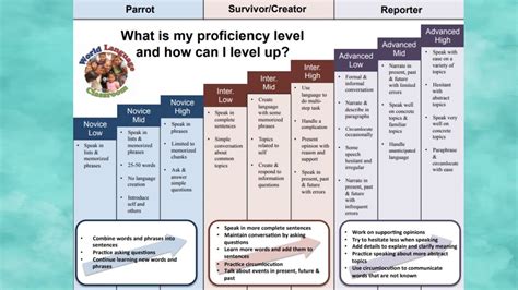 Proficiency Level