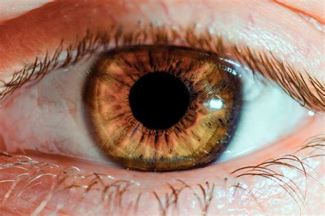 Cómo Fotografiar Los Ojos De Una Persona Desde Muy Cerca