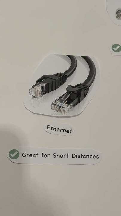 Main Types Of Network Cable In 35 Seconds 🖥️ Techtips Learntech Techexplained Tech101 Youtube