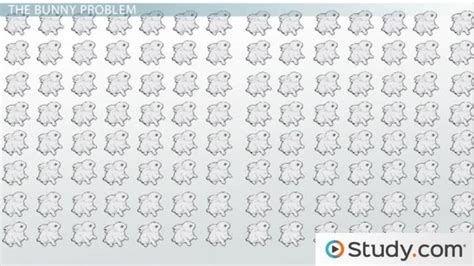 Polynomial Functions Exponentials And Simplifying Lesson Study Com