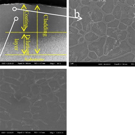 The Sem Of Longitudinal Sectional Microstructure Of Cladding Layer A Download Scientific