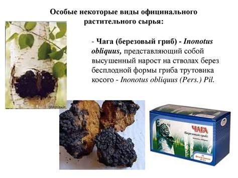 Фармакогнозия как наука - online presentation